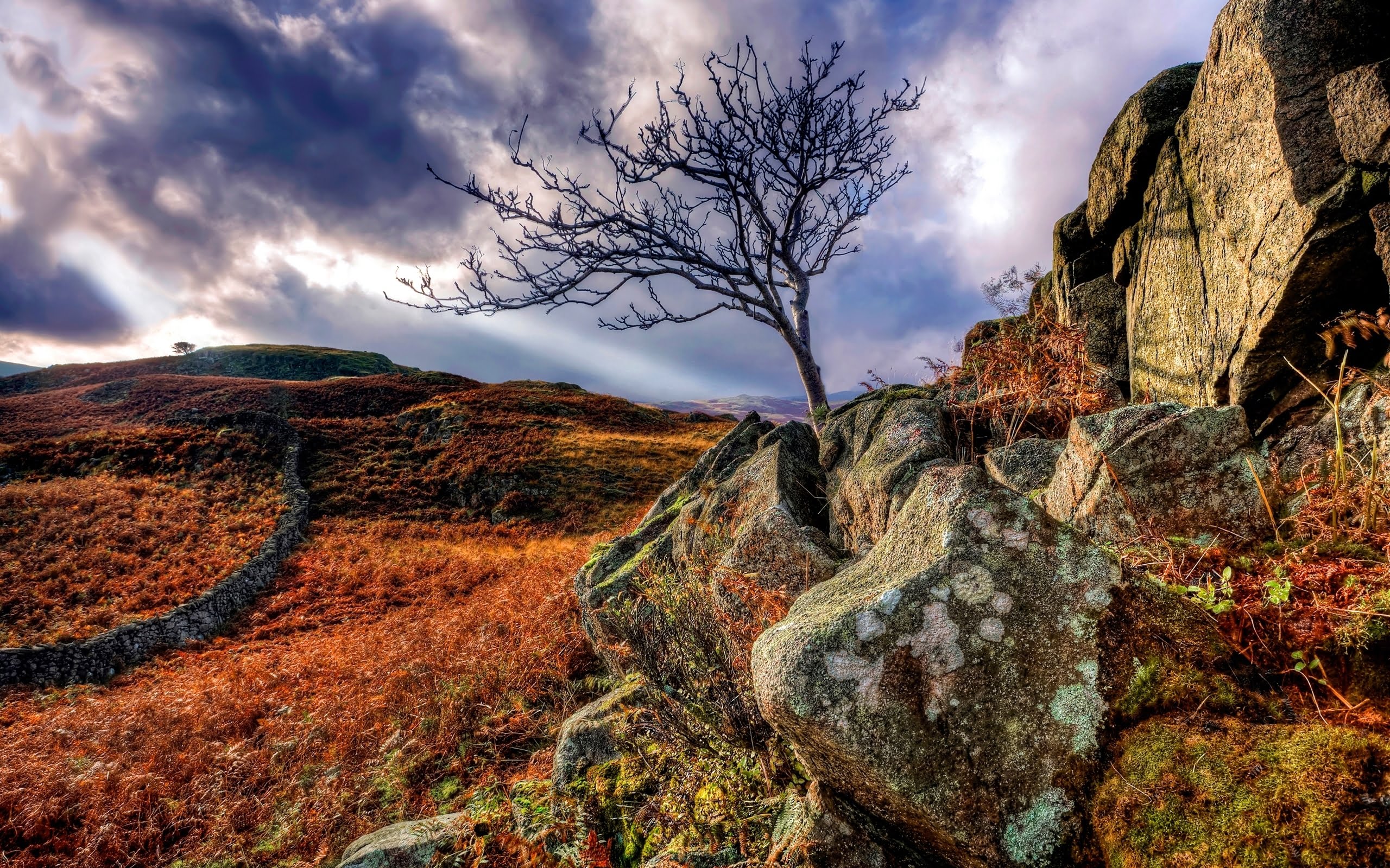 Besplatne Pozadine za Desktop – Decembar 2012 – PopArt Studio