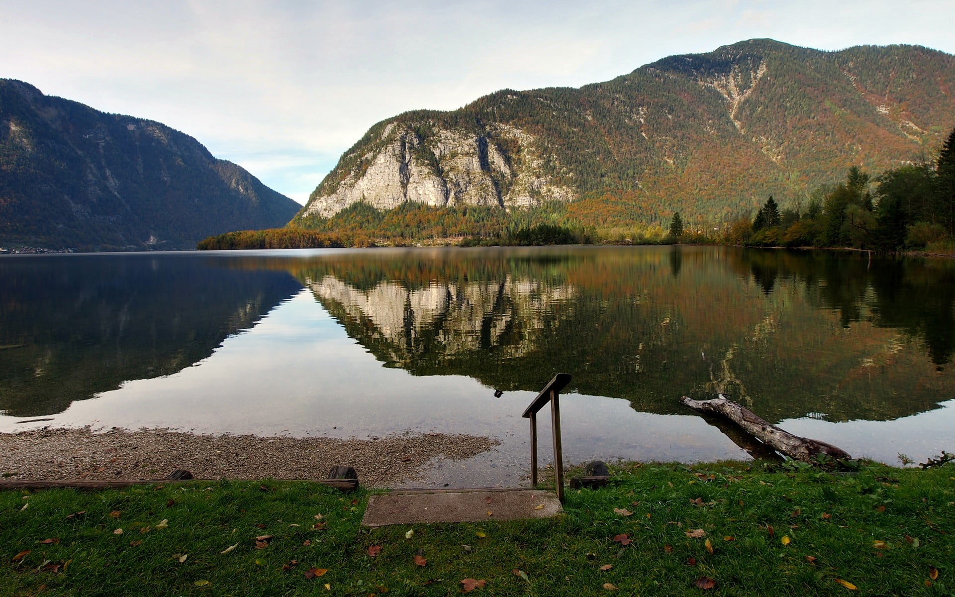 Google slike za desktop - nimfatechno