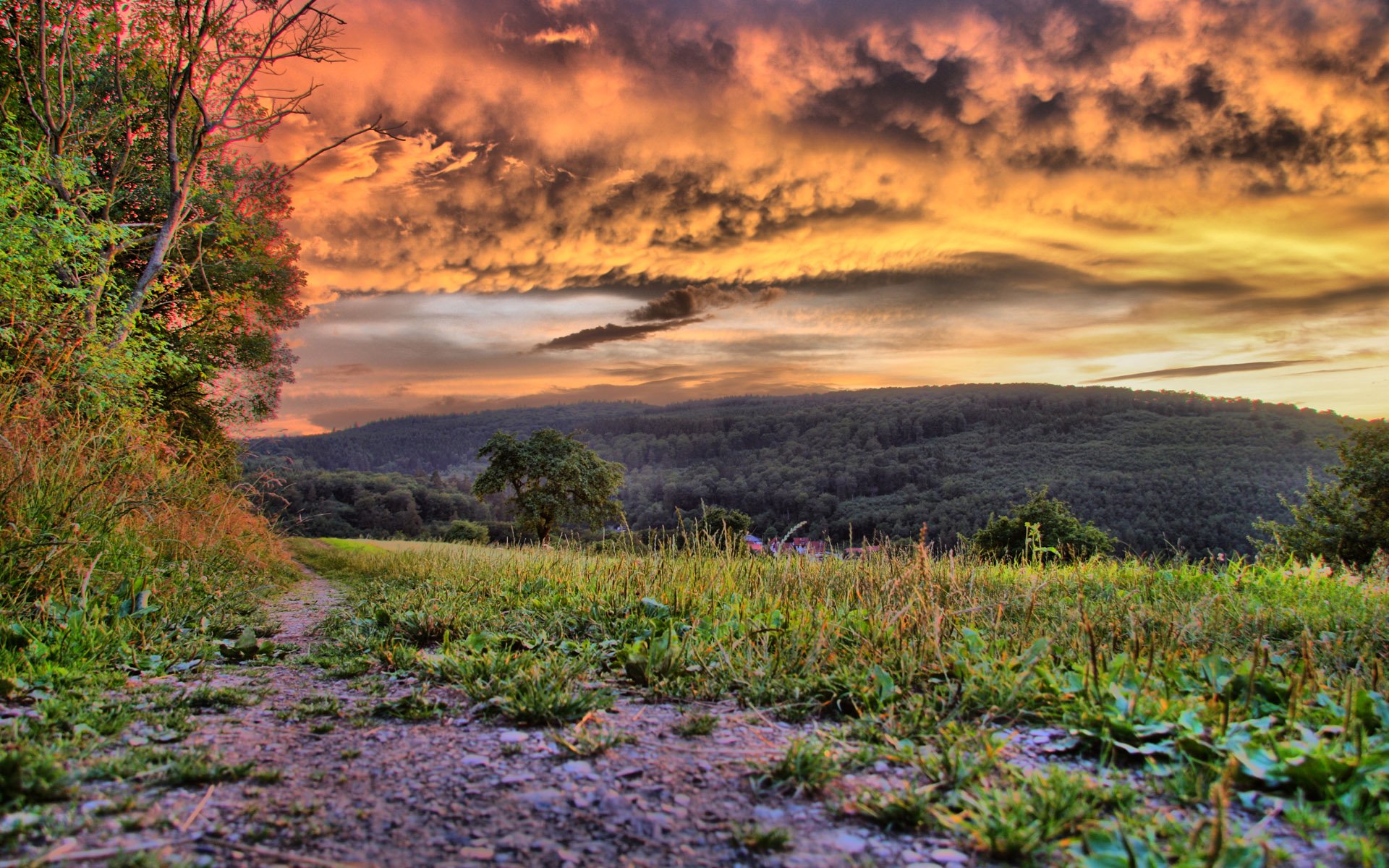 Slike Prirode za Desktop - Mart 2013