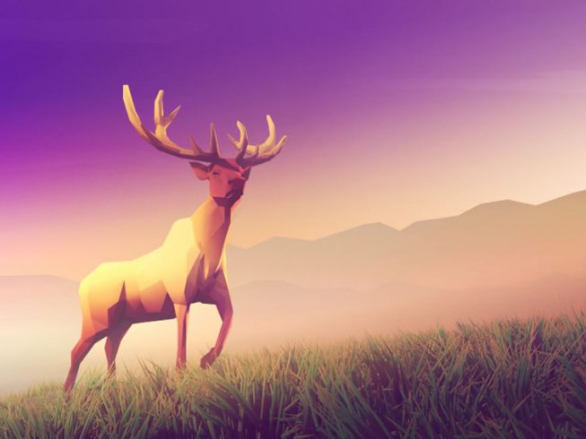 Low Poly Graphics by Jona Dinges