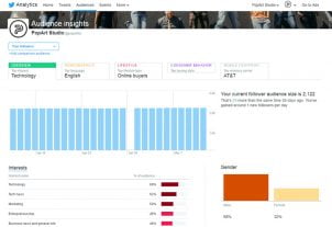 How To Use Twitter Analytics
