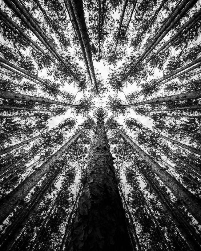 Black-and-White Photography by Jason Peterson